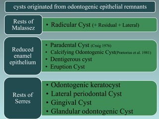 Epithelial Remnants Derivatives | PDF