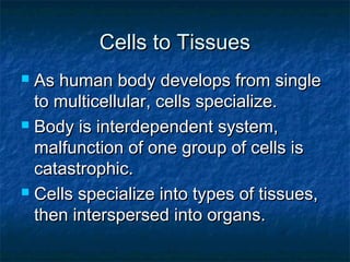 Epithelialtissue 120208062655-phpapp02 | PPT