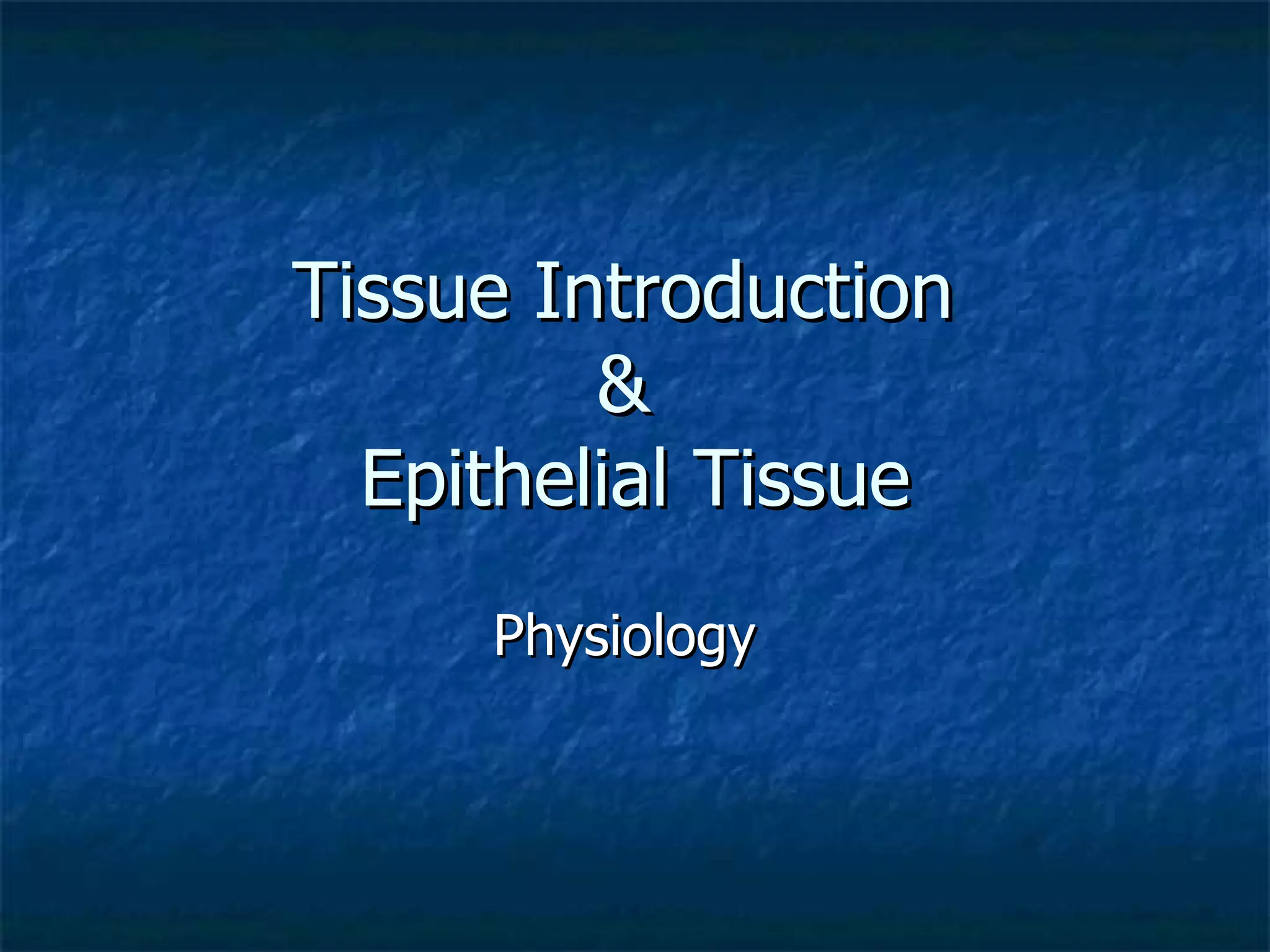 Epithelial Skin Cells
