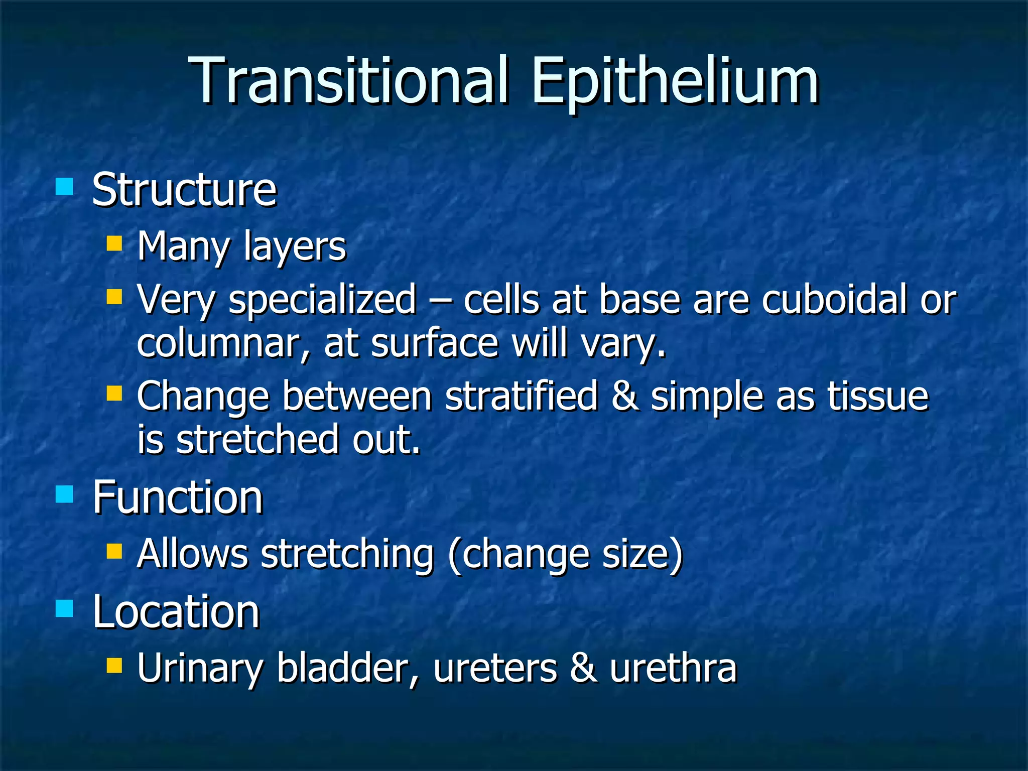 Epithelial tissue | PPT