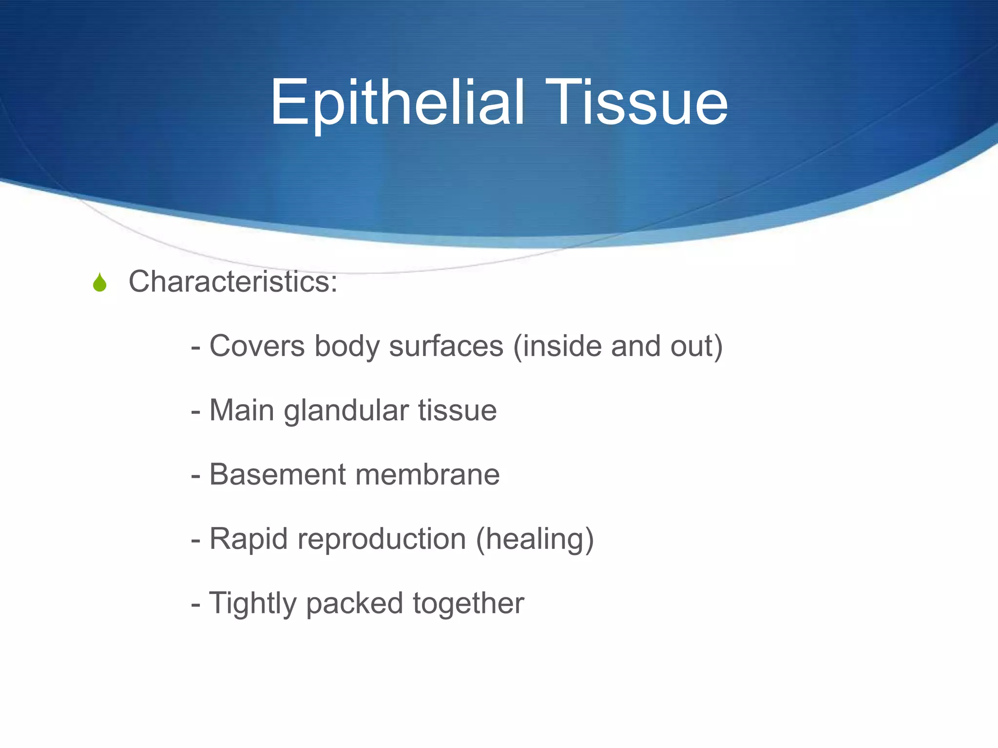 FAMF module 2: epithelial tissue | PPTX
