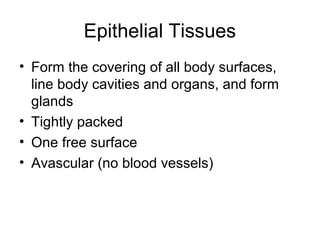 Epithelial tissue | PPT
