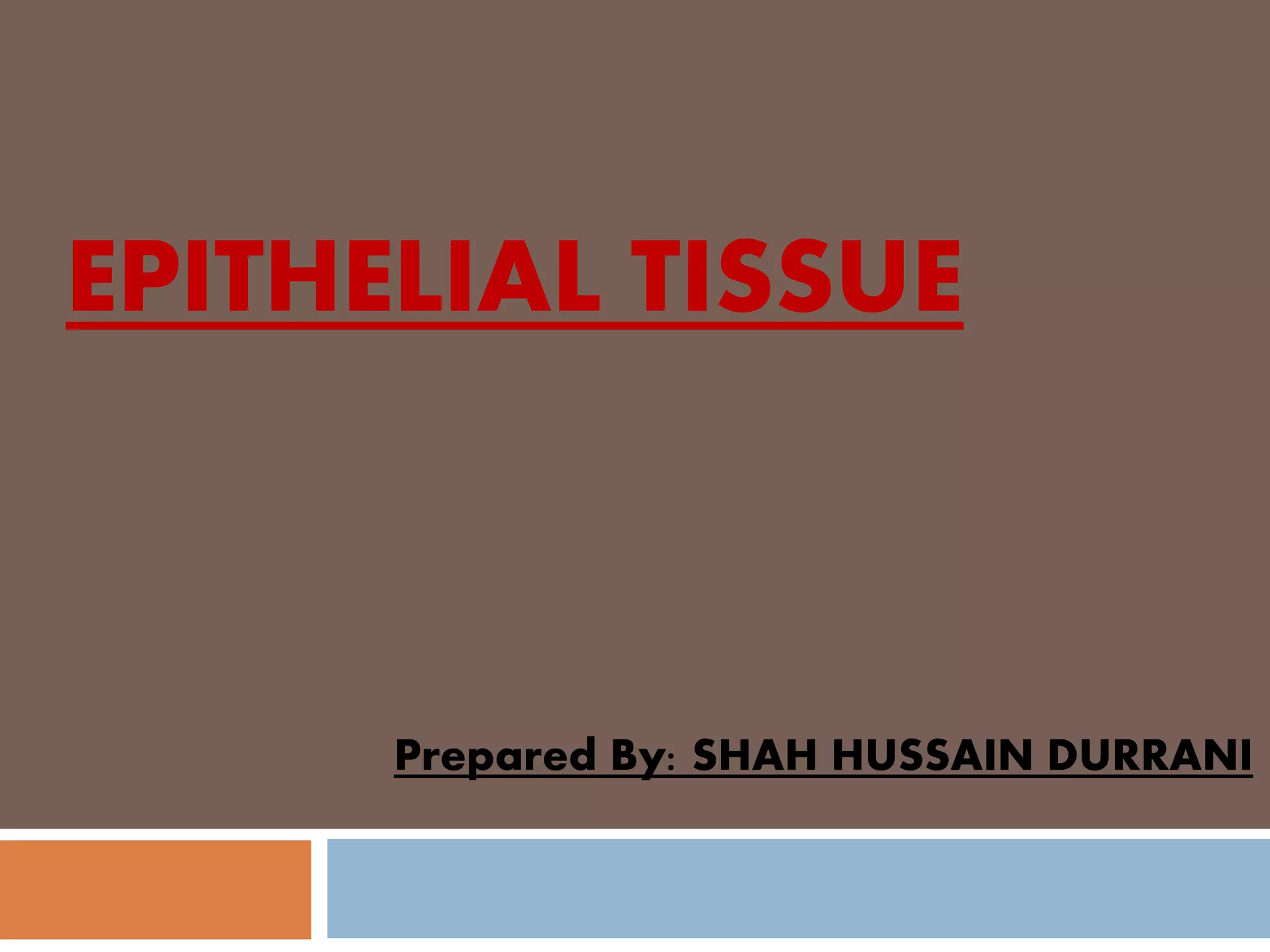 Epithelium and its types | PPTX