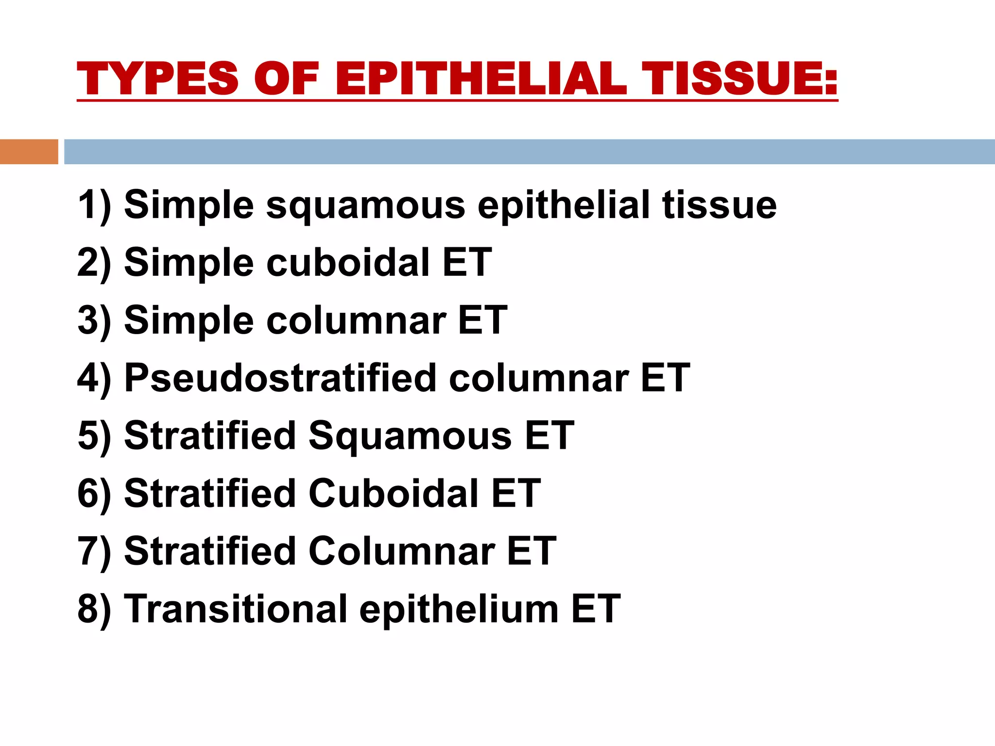 Epithelium and its types | PPTX