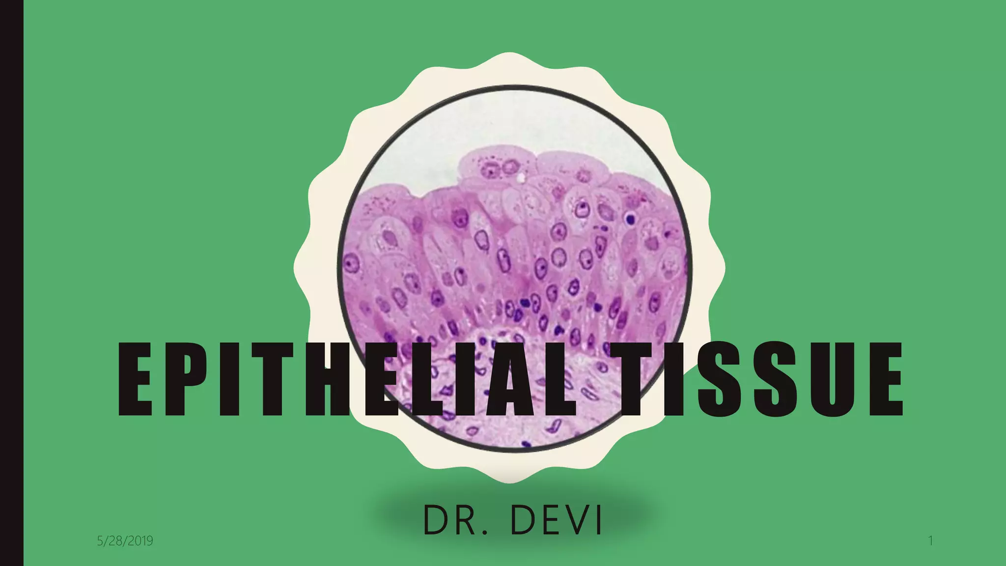 Histology -Epithelial tissue | PPTX
