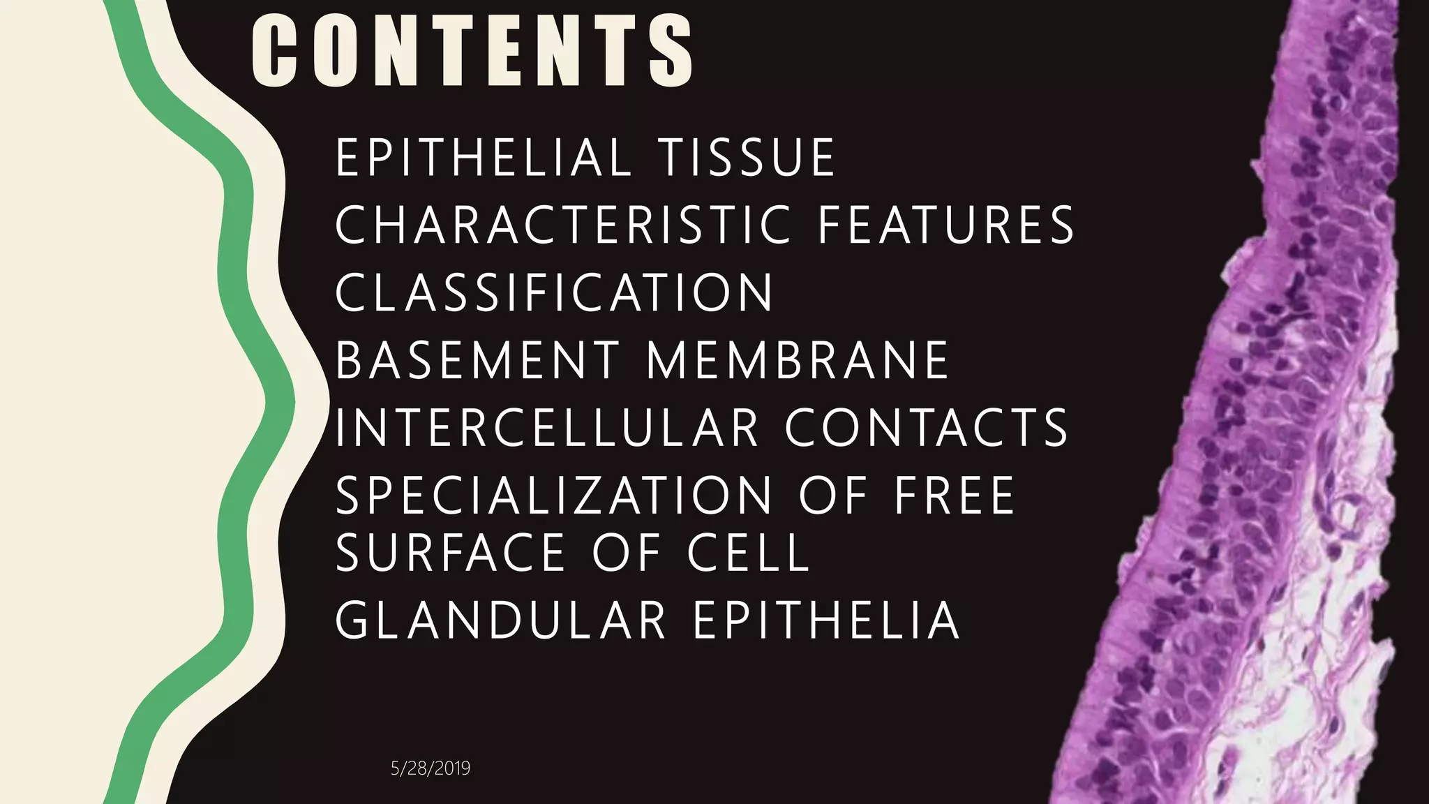 Histology -Epithelial tissue | PPTX