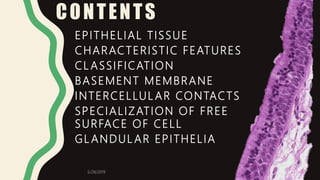 Histology -Epithelial tissue | PPTX