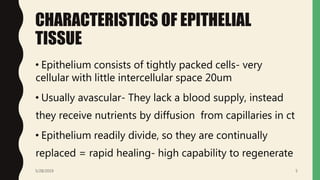 Histology -Epithelial tissue | PPTX