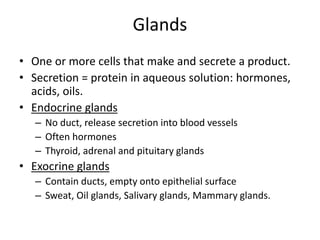 Epithelial Tissue.ppt