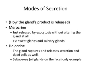 Epithelial Tissue.ppt