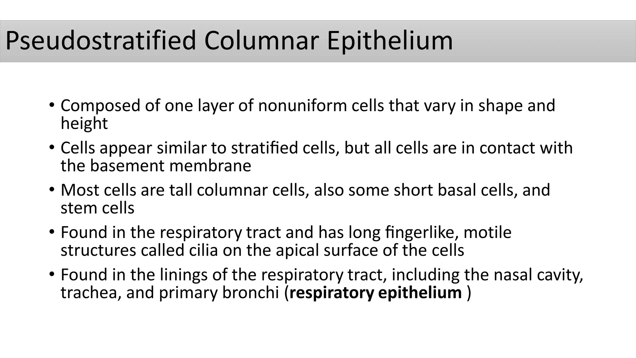Epithelial Tissue.pdf