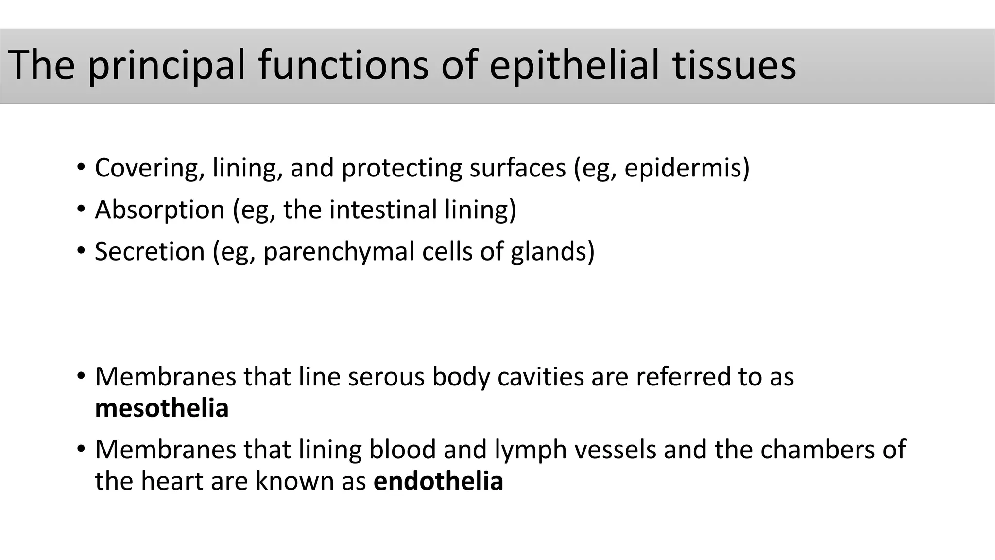 Epithelial Tissue.pdf
