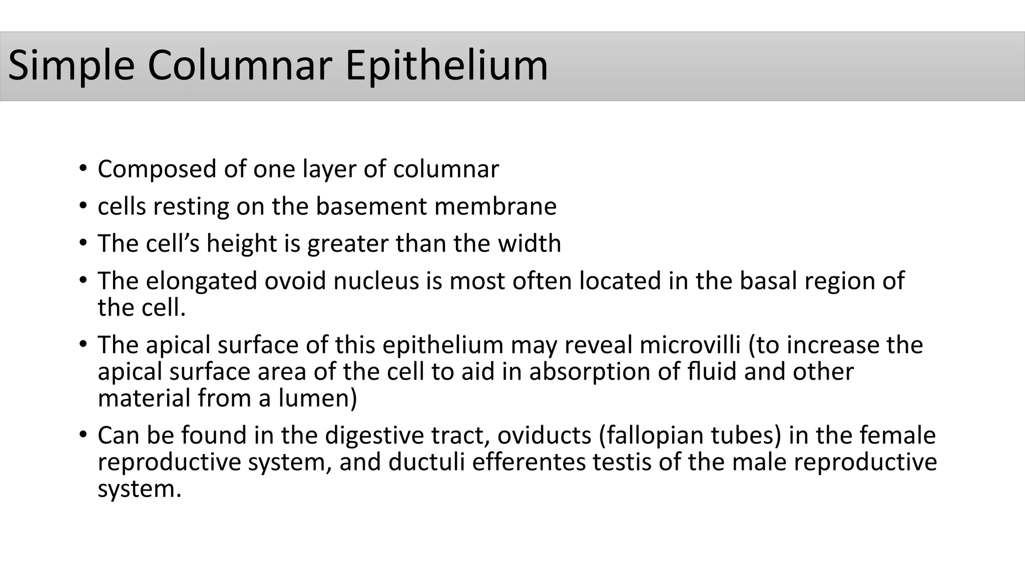 Epithelial Tissue.pdf