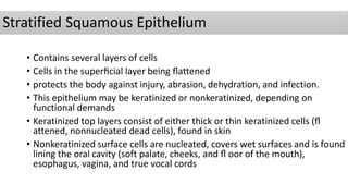 Epithelial Tissue.pdf