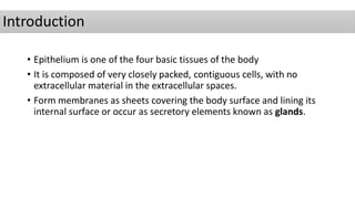 Epithelial Tissue.pdf