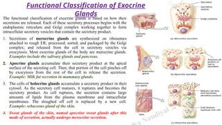 Epithelial tissue and their classification | PPTX