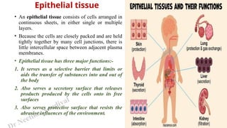 Epithelial tissue and their classification | PPTX