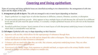 Epithelial tissue and their classification | PPTX