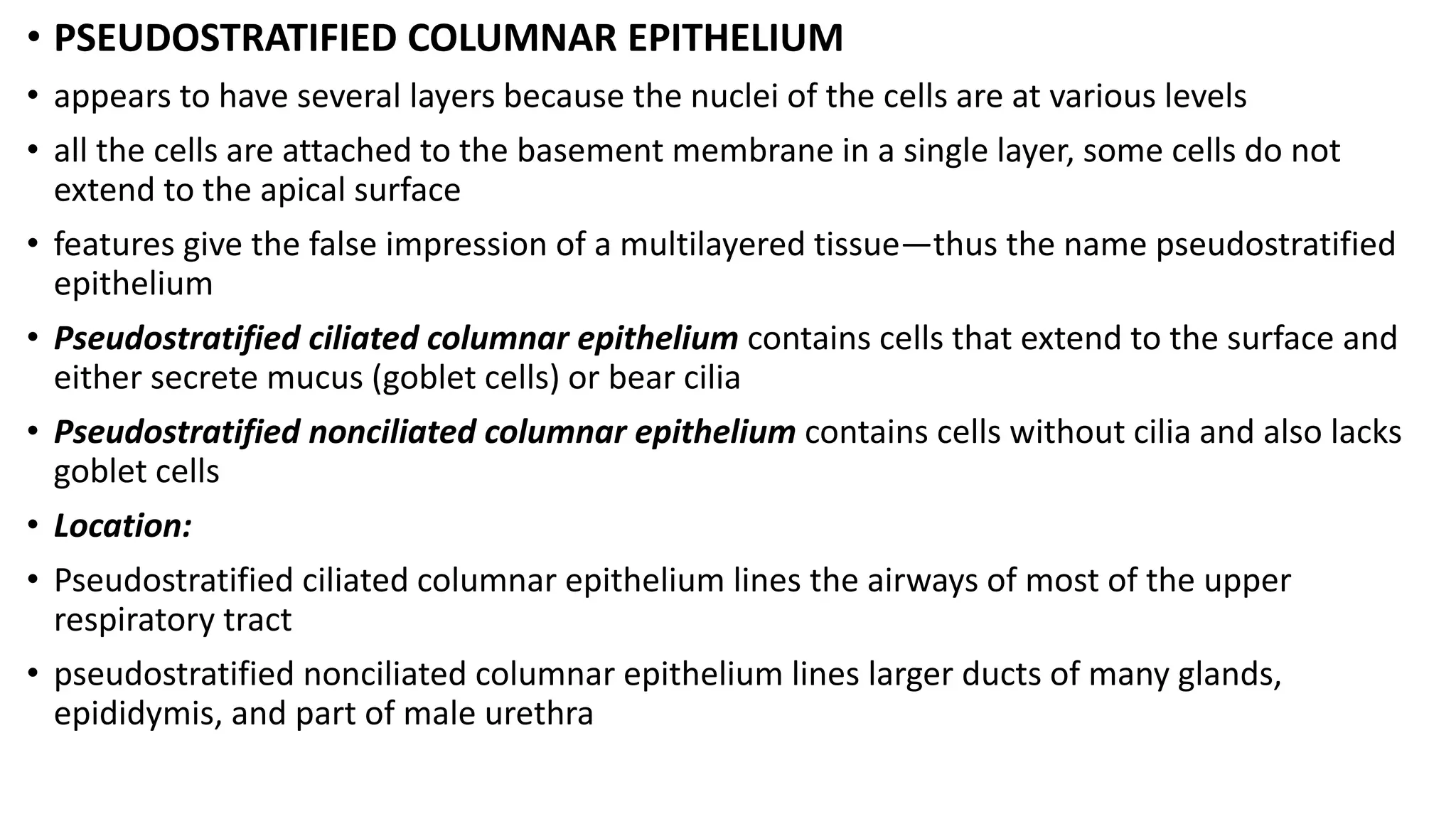 Epithelial Tissue - Copy.pptx
