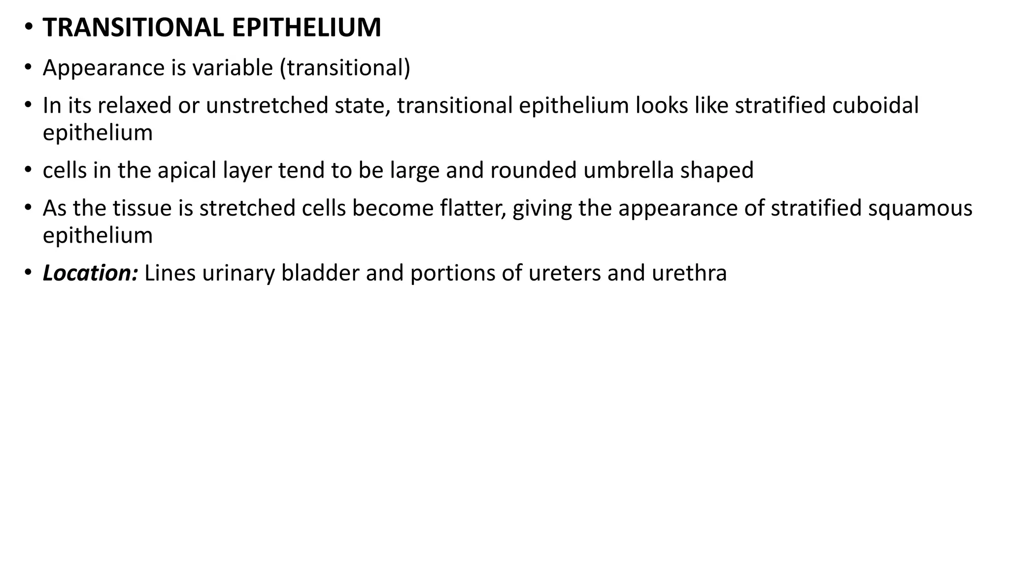 Epithelial Tissue - Copy.pptx