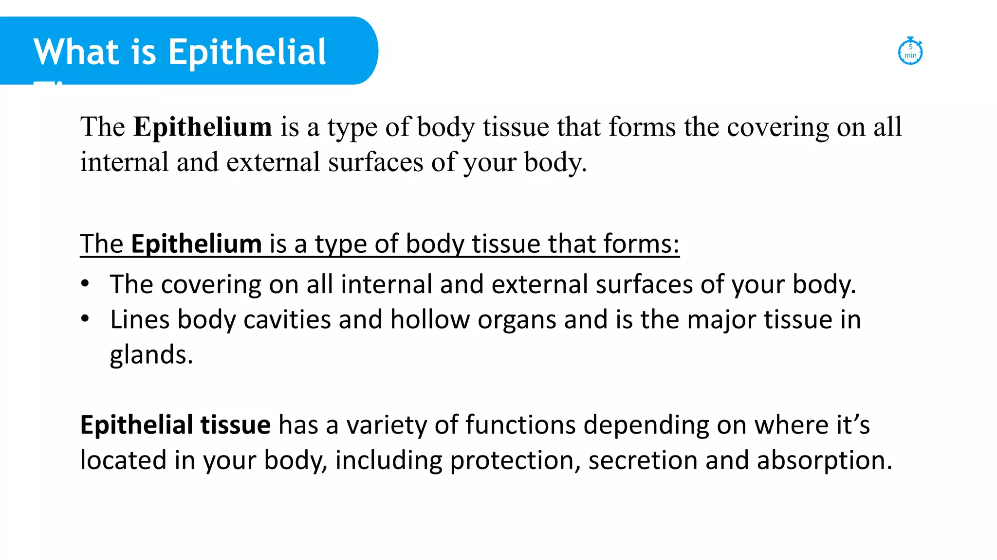 Epithelial tissue - Presentation - Tasnim Mimmi.pptx