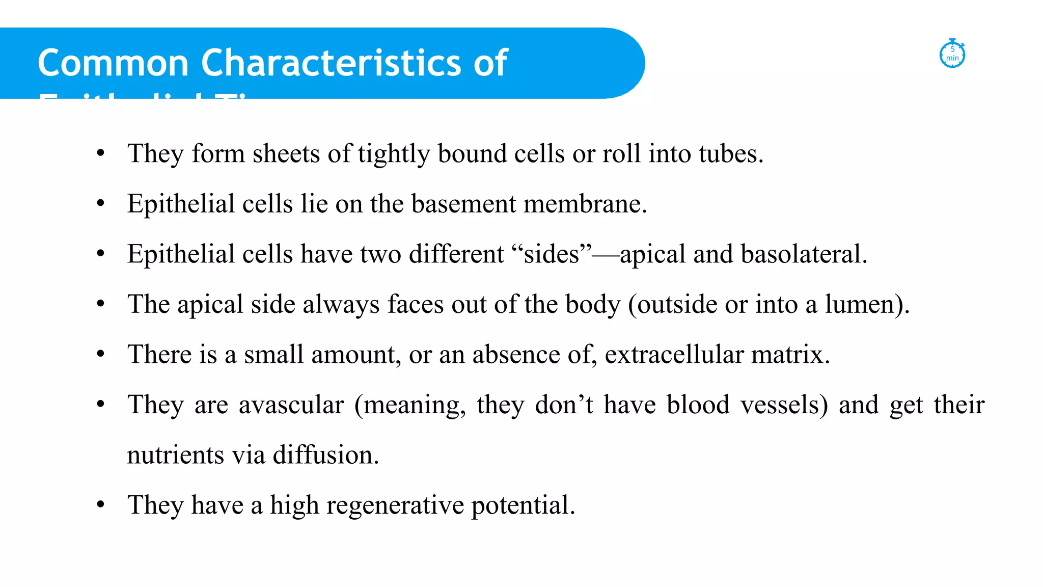 Epithelial tissue - Presentation - Tasnim Mimmi.pptx