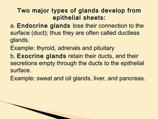 Epithelial tissue 1 | PPT