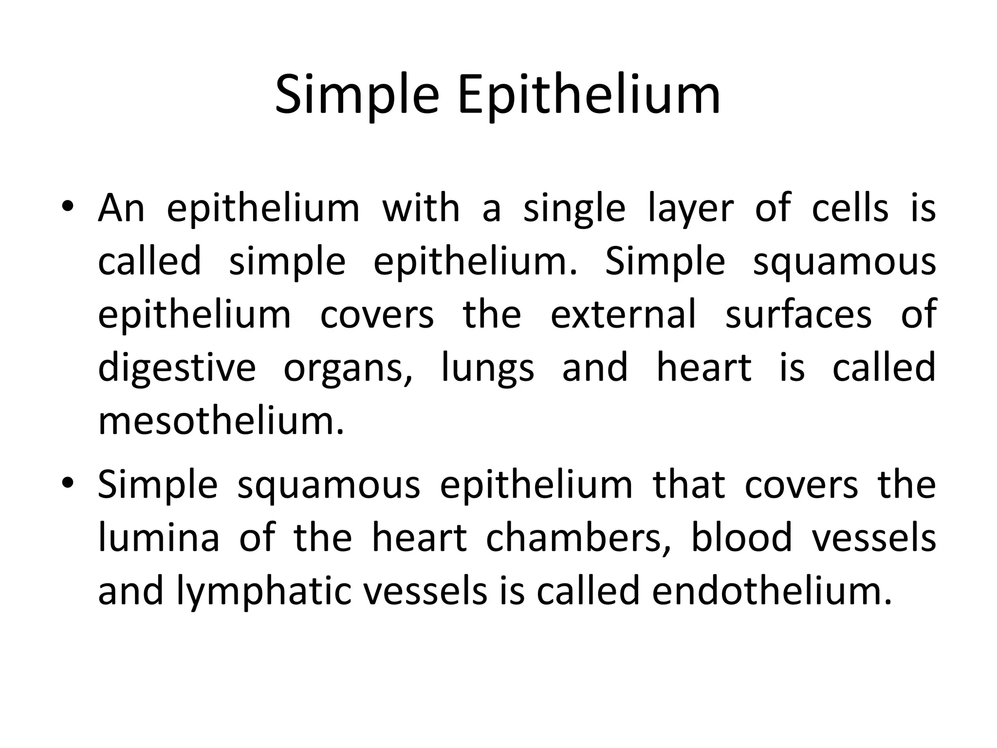Epithelial Tissue 2.pptx