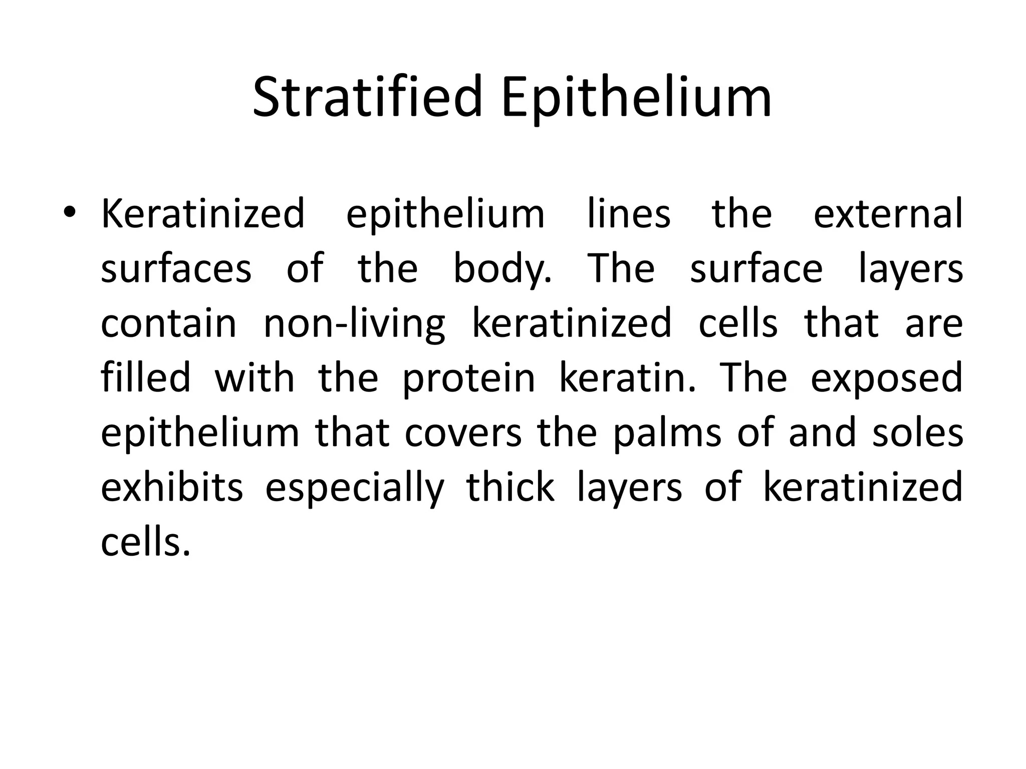 Epithelial Tissue 2.pptx