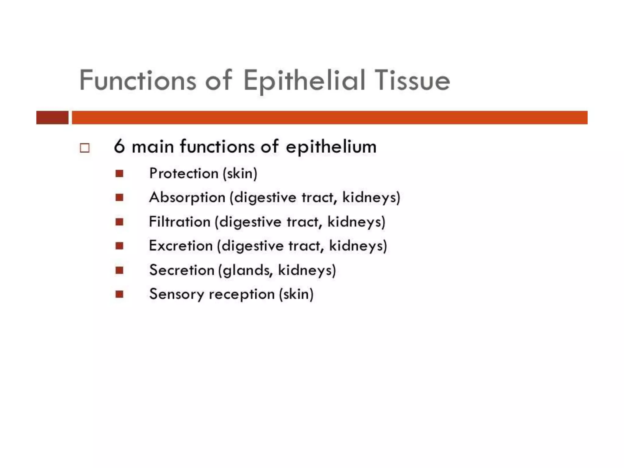Epithelial Tissue 2.pptx