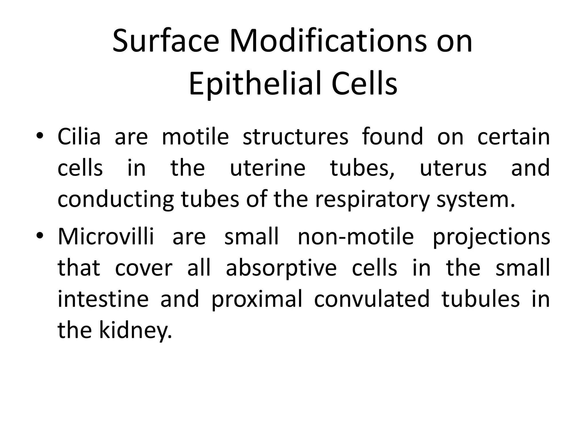Epithelial Tissue 2.pptx