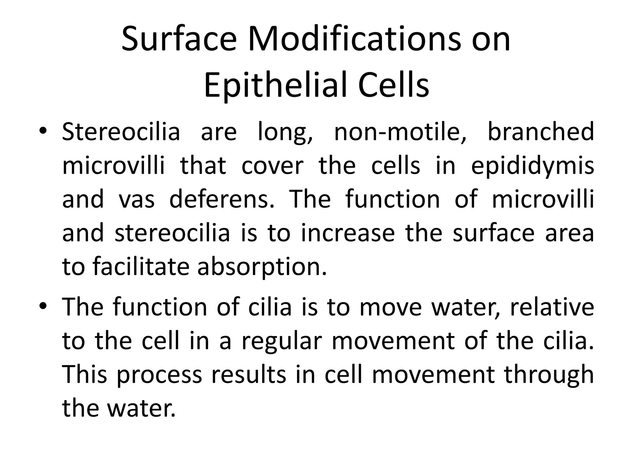 Epithelial Tissue 2.pptx