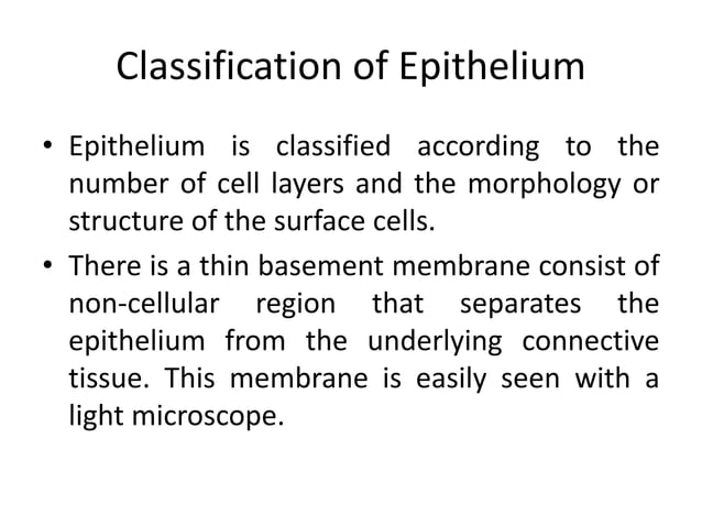 Epithelial Tissue 2.pptx