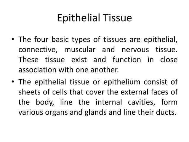 Epithelial Tissue 2.pptx
