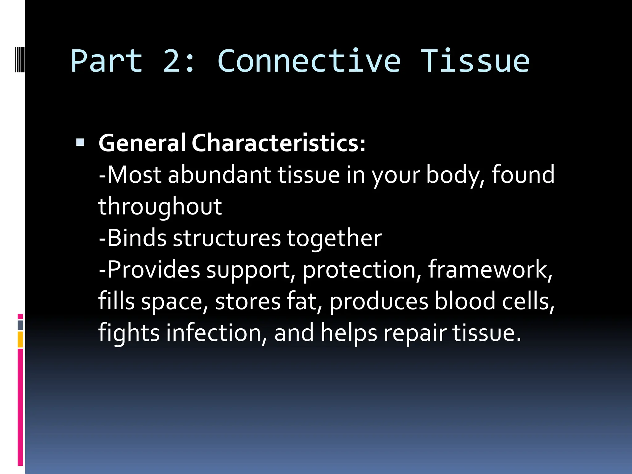 Epithelial Tissue in human anatomy at university | PPT