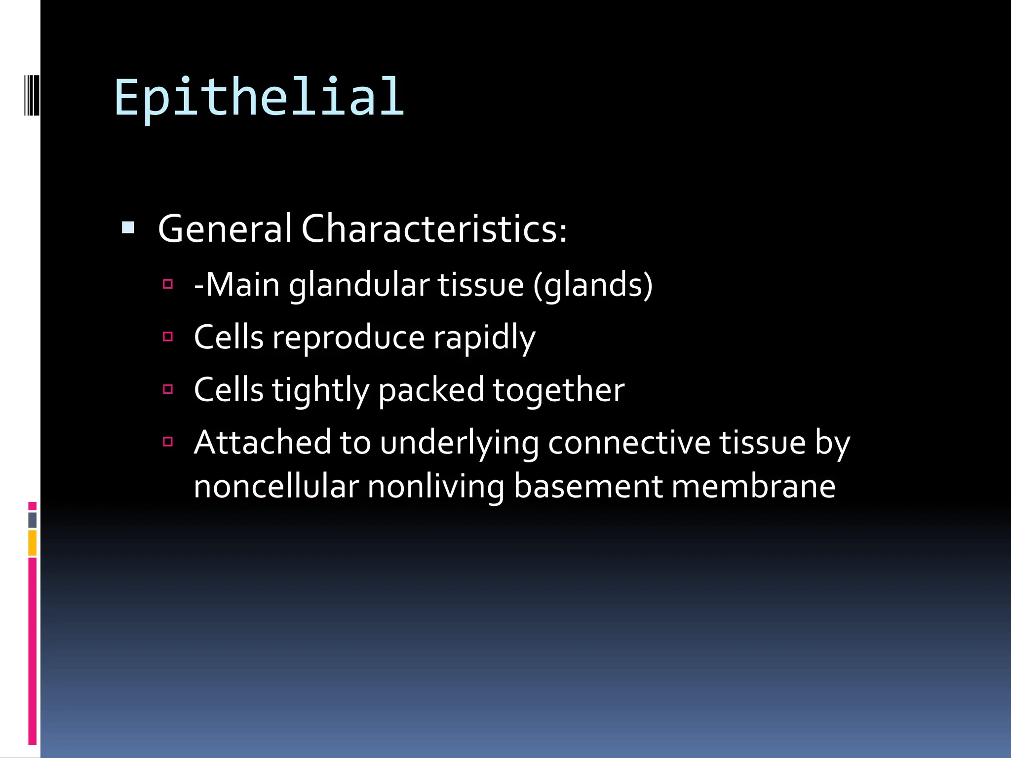 Epithelial Tissue in human anatomy at university | PPT
