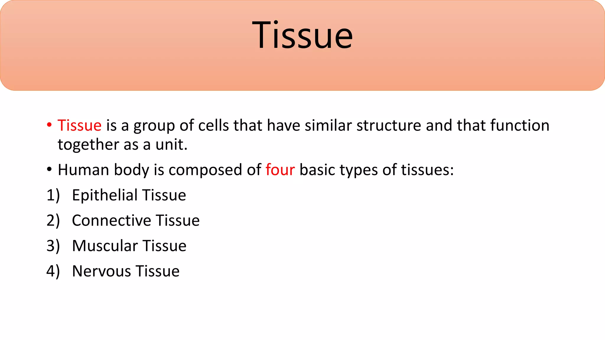 epithelial tissue histology ppt.pptx