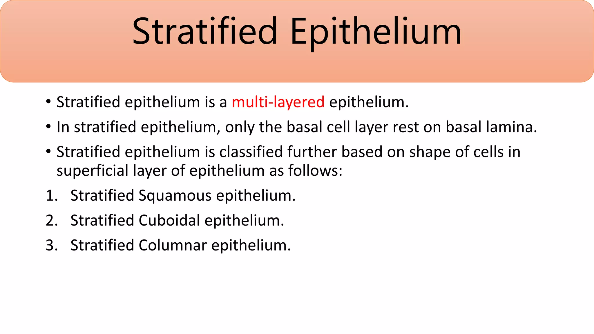 epithelial tissue histology ppt.pptx