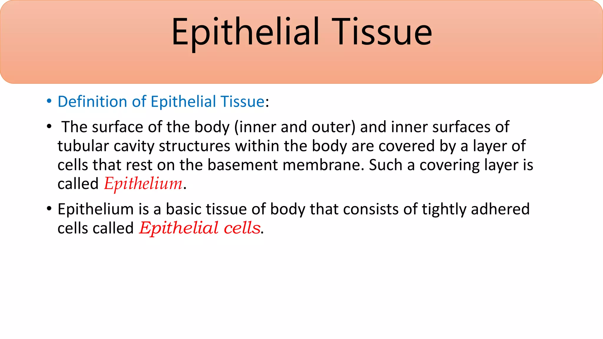 epithelial tissue histology ppt.pptx