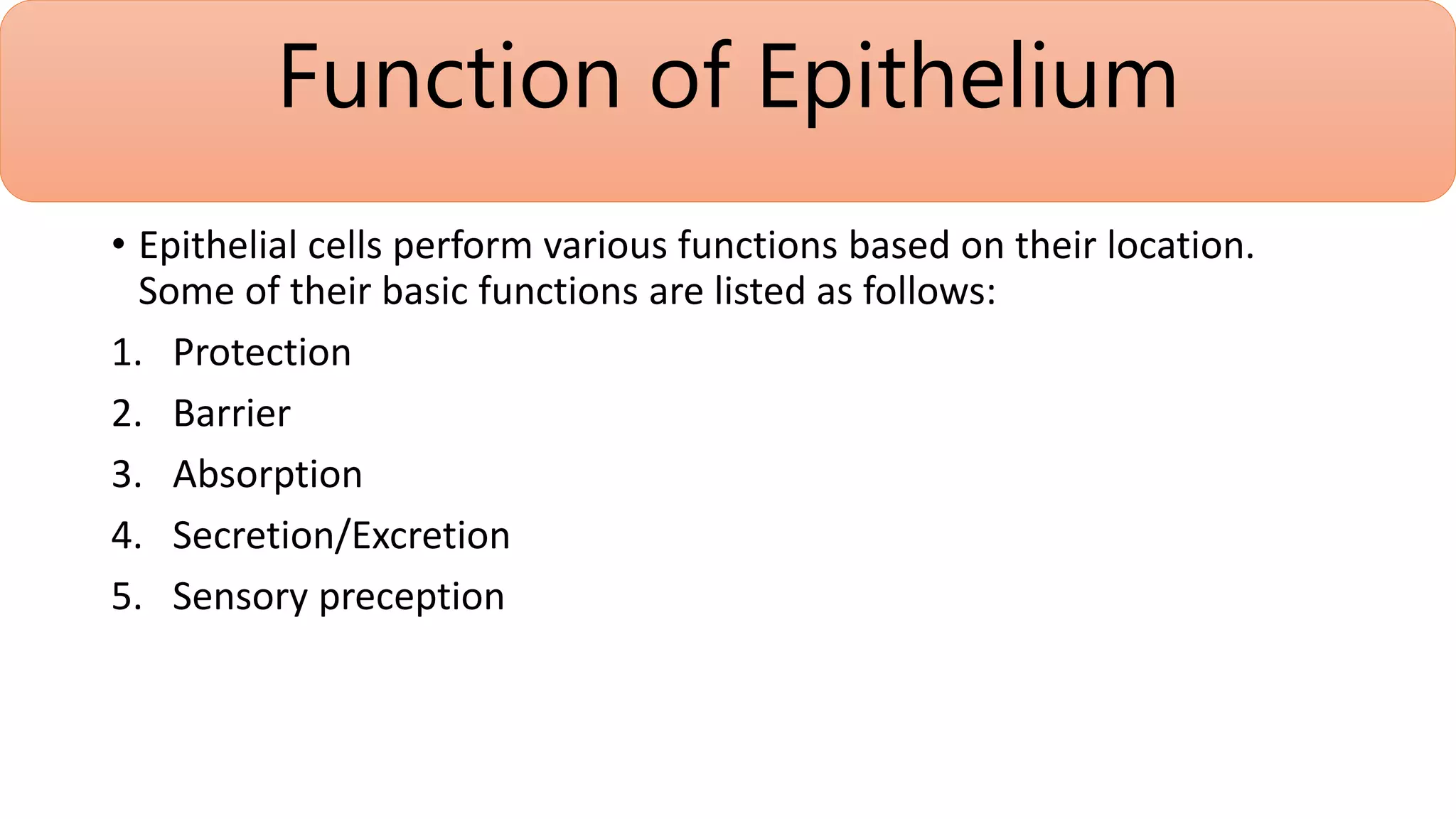 epithelial tissue histology ppt.pptx