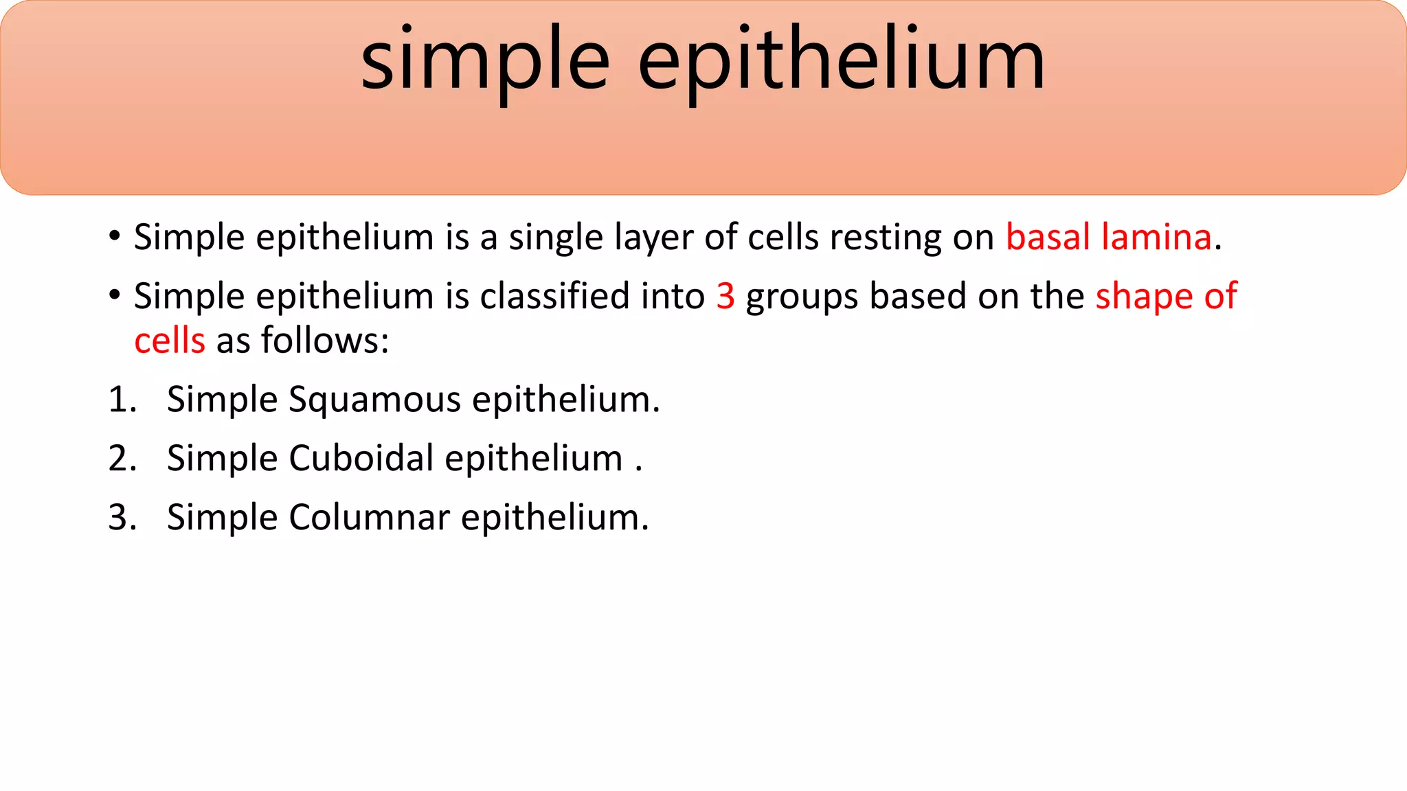 epithelial tissue histology ppt.pptx