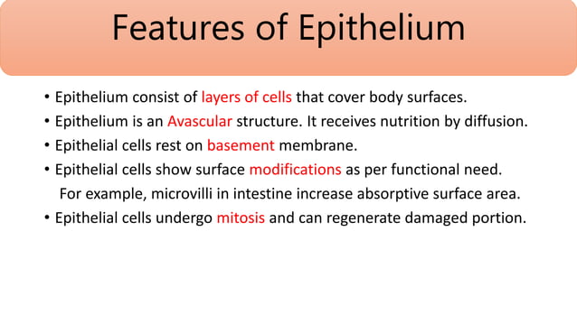 epithelial tissue histology ppt.pptx | Biological Sciences | Science