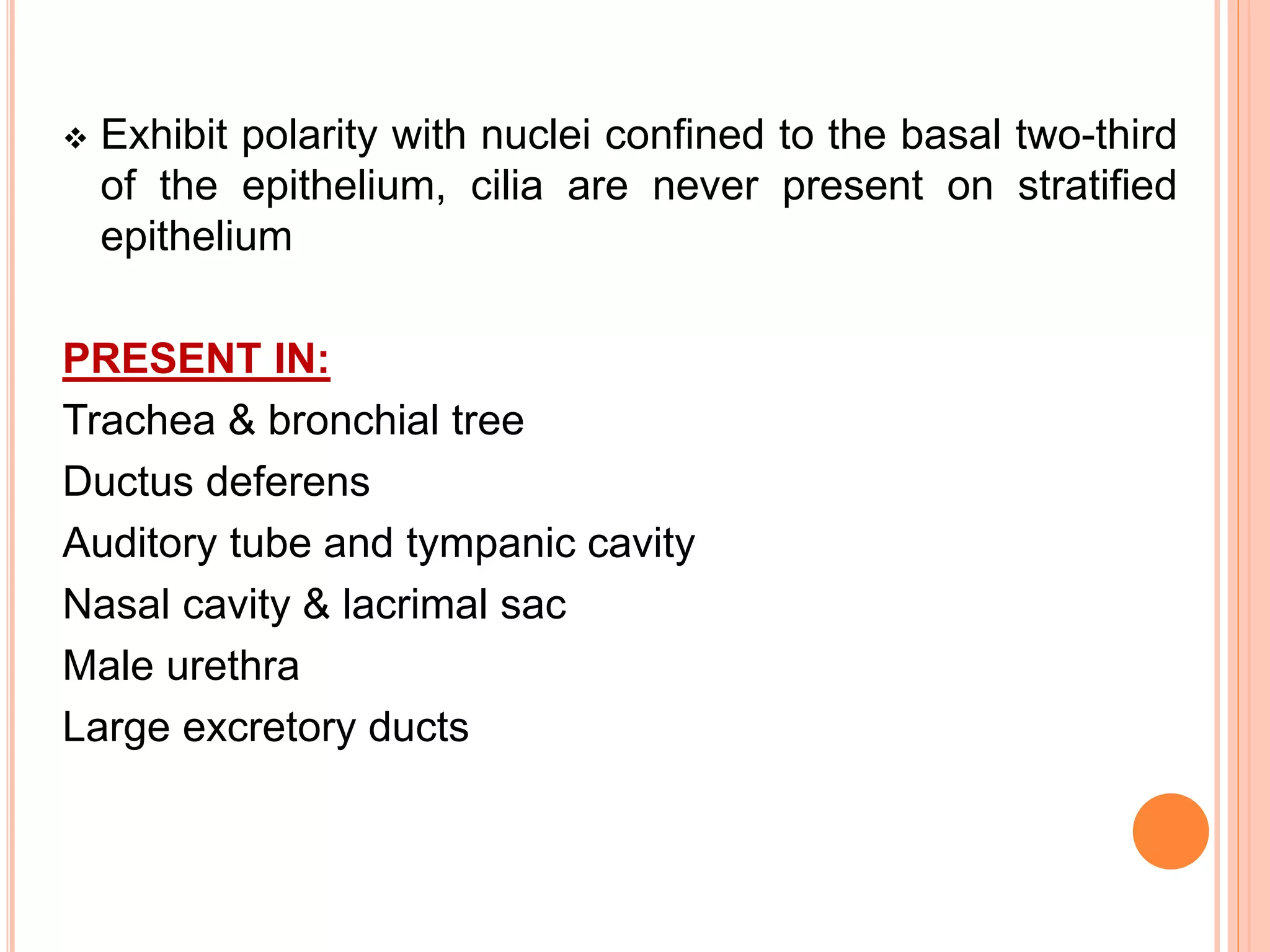 epithelial tissues .pdf
