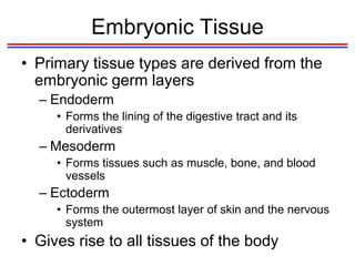 EPITHELIAL TISSUES IN NURSING SCIENCE AG | PPT | Free Download