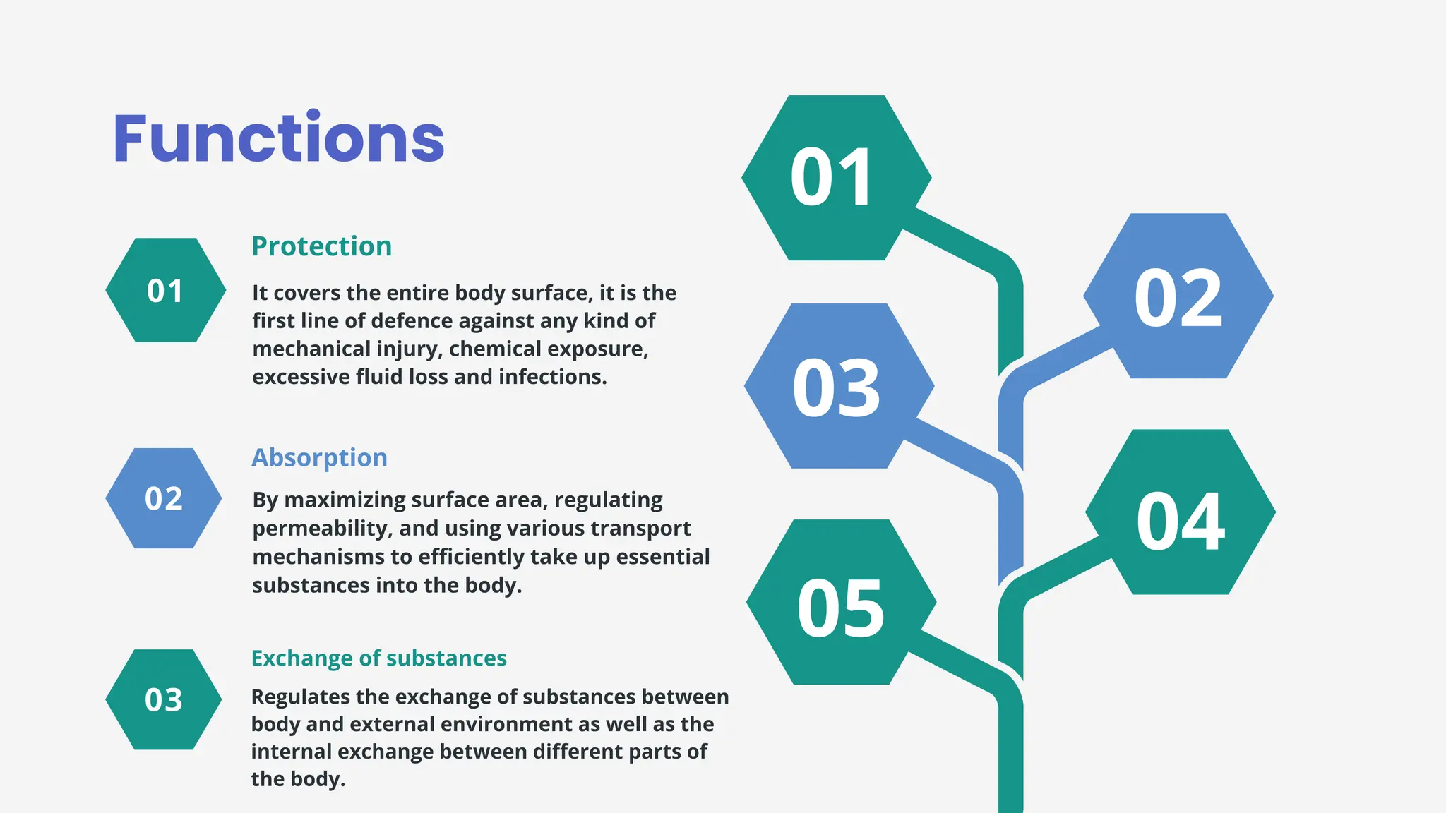 Epithelial Tissues - explain different types of tissues.pdf