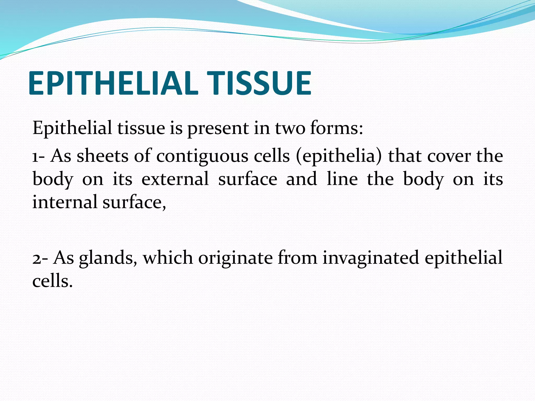 Epithelial tissues- histology | PPTX