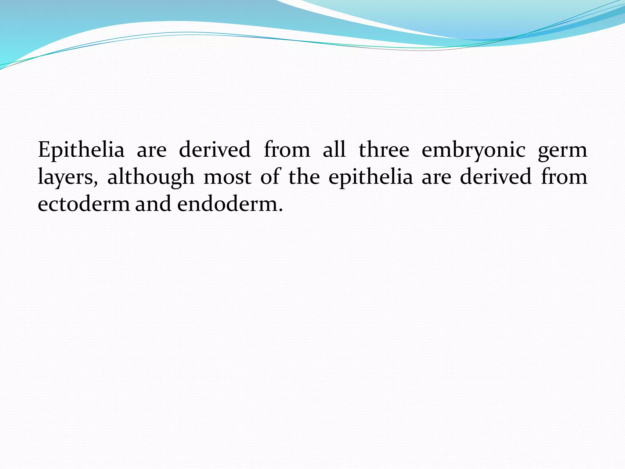 Epithelial tissues- histology | PPTX