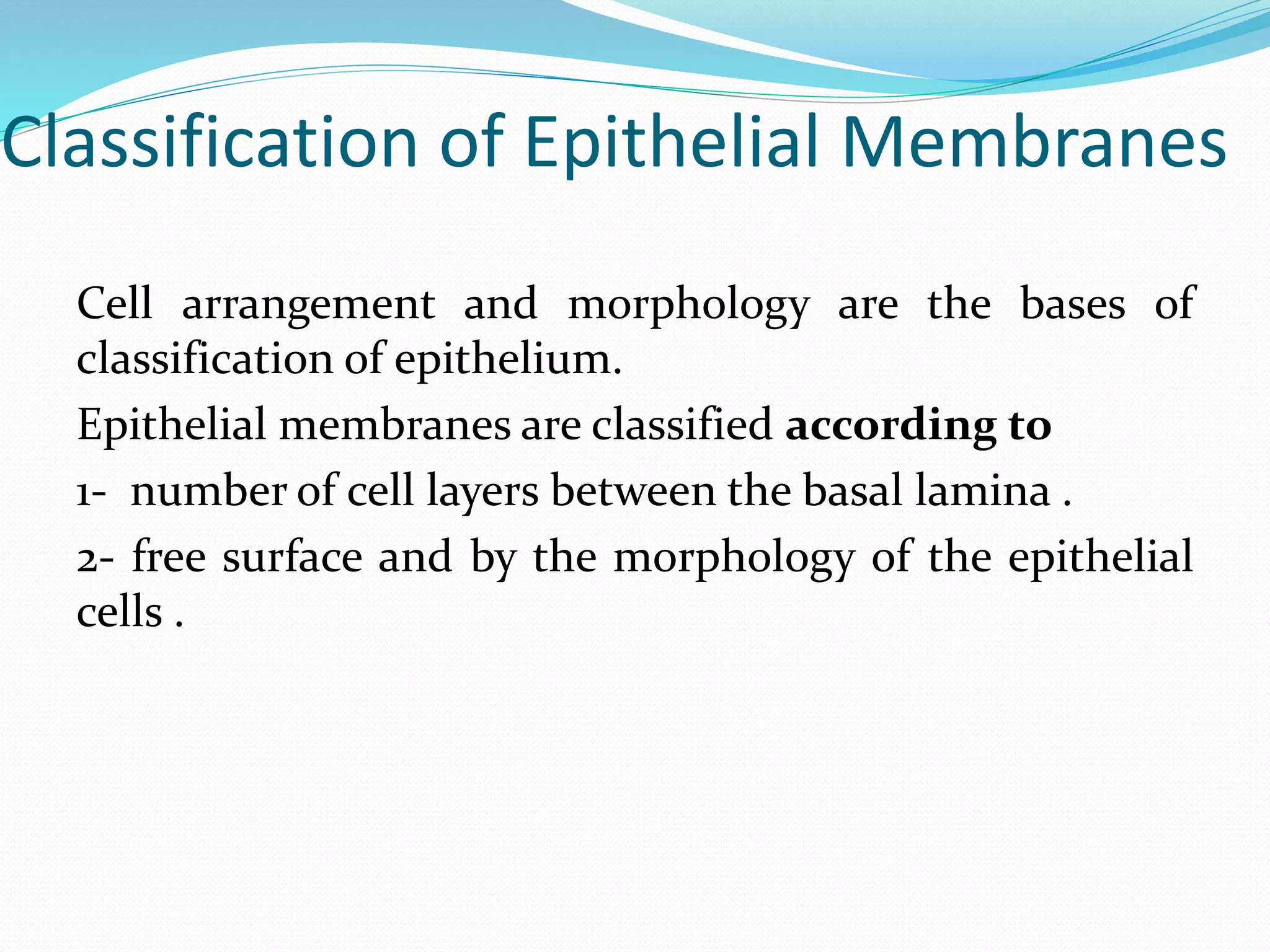 Epithelial tissues- histology | PPTX | Biological Sciences | Science