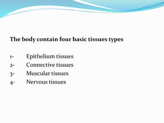 Epithelial tissues- histology | PPT