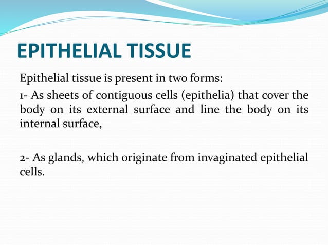 Epithelial tissues- histology | PPT